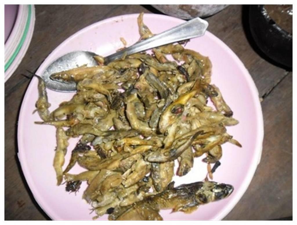 Balangao Delicasies | Balangao Cultural Website