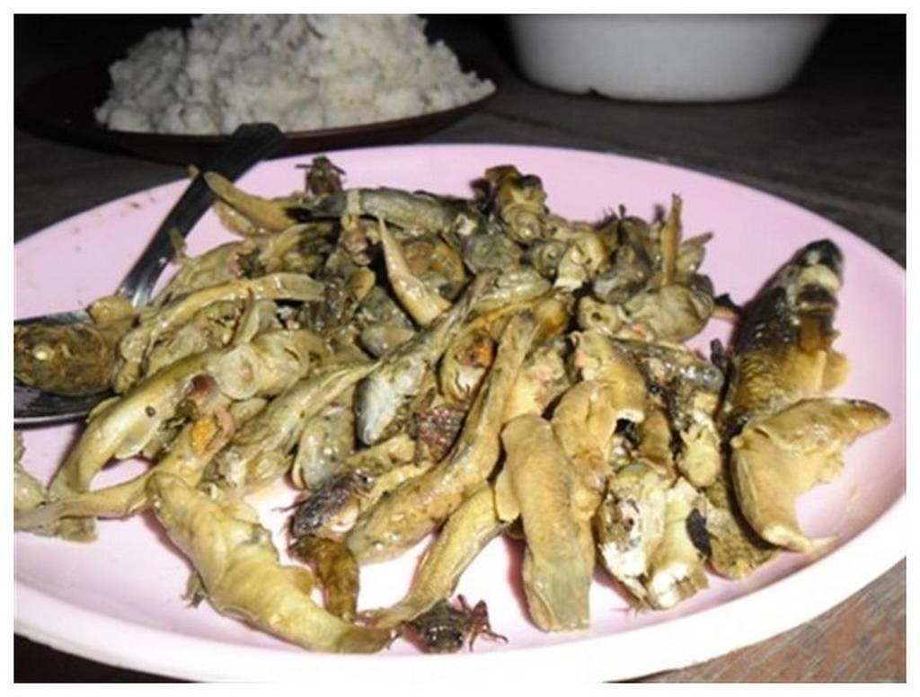 Balangao Delicasies | Balangao Cultural Website