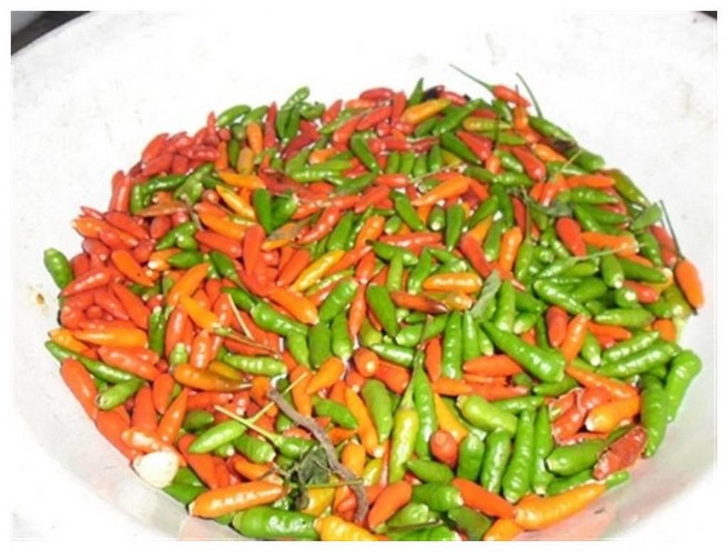 Balangao Delicasies | Balangao Cultural Website